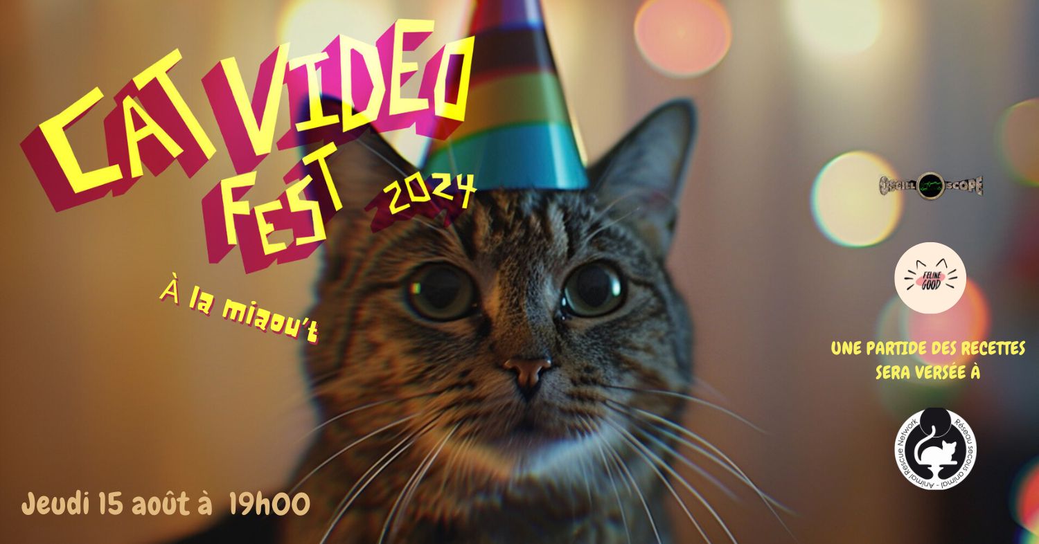 Cat Video Fest 2024