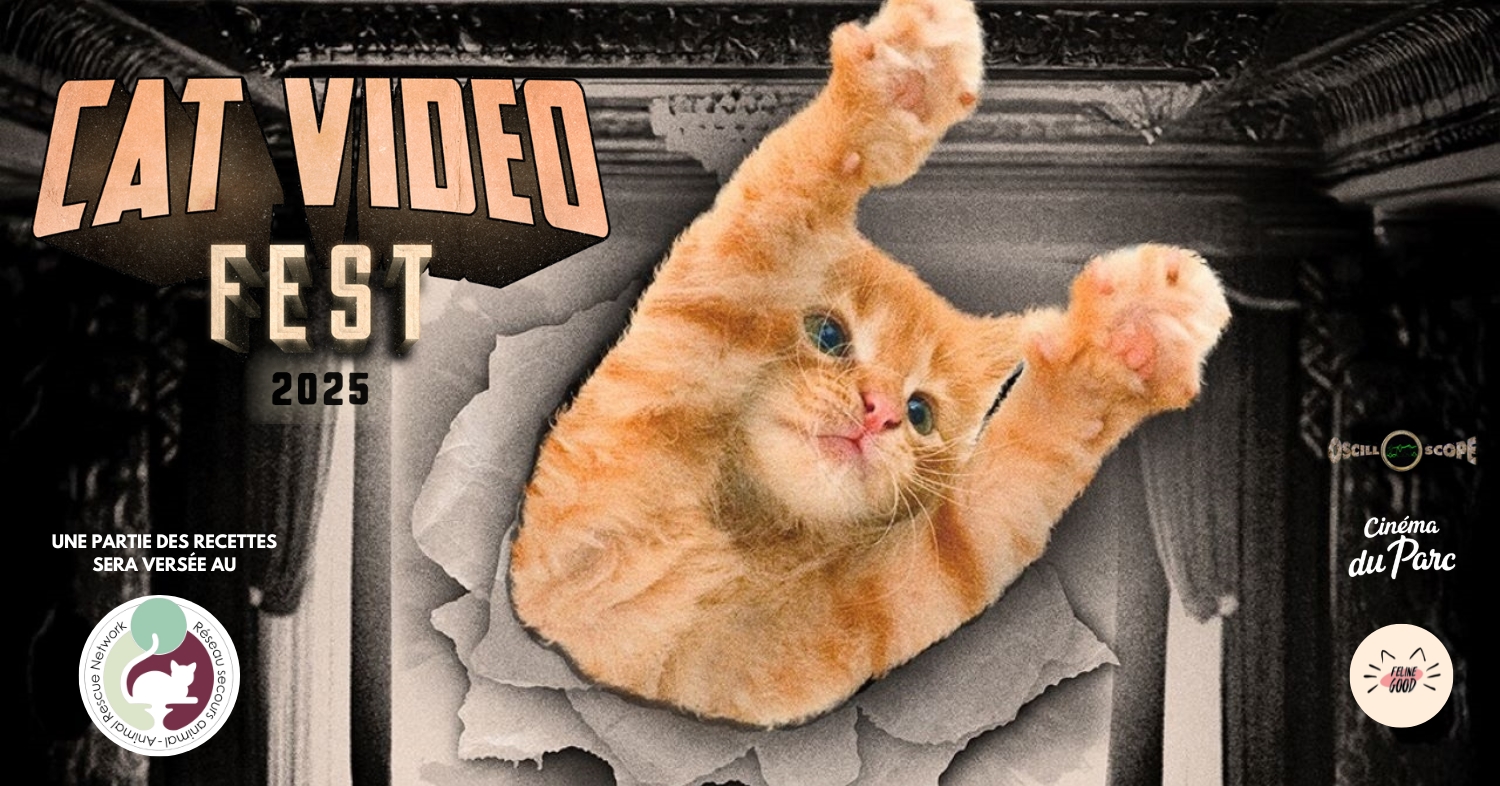 Cat Video Fest 2025